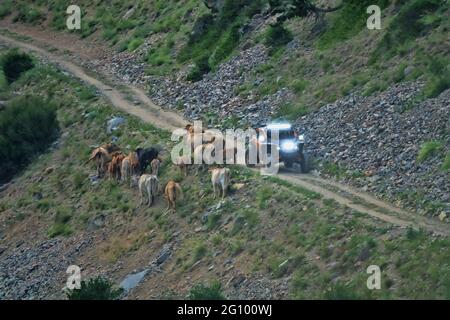 Buggy car (goes over all terrain) rides on a mountain road (alpine path ...