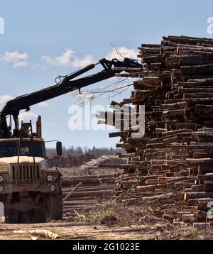Operations for loading a logging truck Stock Photo - Alamy