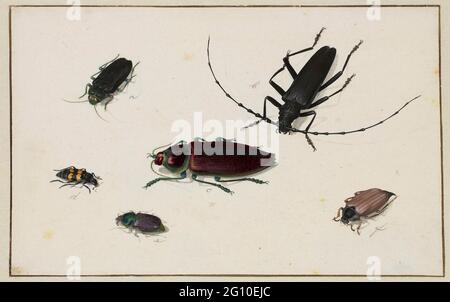 Sheet with Six Beetles, Pieter Holsteyn (I), c. 1620 - c. 1662 ...