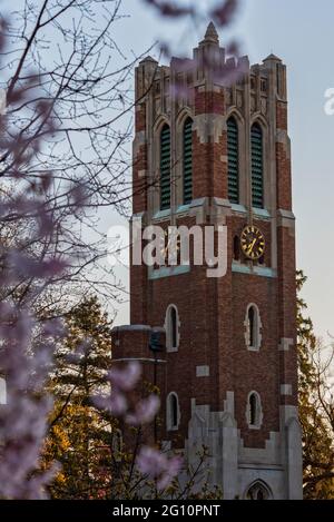 Landmark Beaumont Tower carillon on the campus of Michigan State ...
