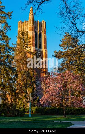 Landmark Beaumont Tower carillon on the campus of Michigan State ...