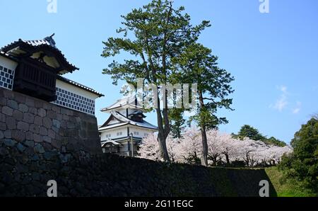 HANAMI KANAZAWA Stock Photo - Alamy