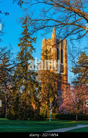 Landmark Beaumont Tower carillon on the campus of Michigan State ...
