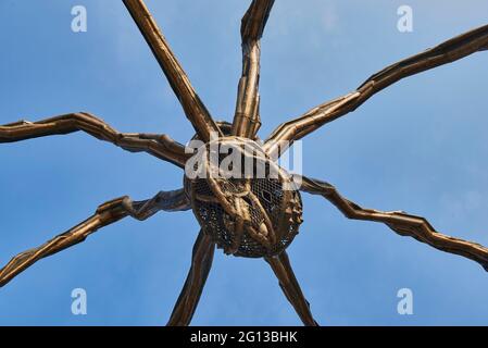 Maman spider sculpture by artist Louise Bourgeois outside the ...