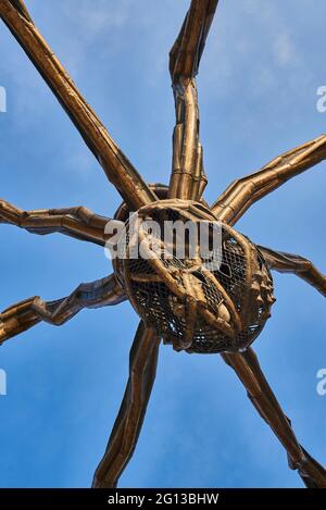 Maman spider sculpture by artist Louise Bourgeois outside the ...