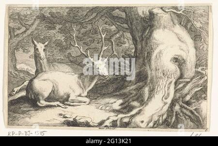 Deer; Animals. Two deer are at the foot of a huge tree. Print from a ...