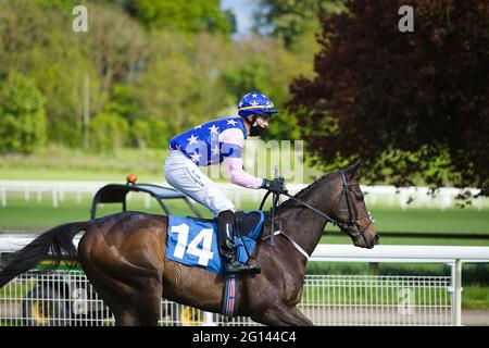 Patrick Millman riding Frankelio at York Racecourse Stock Photo - Alamy