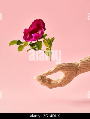 Flying Delicate pink rose on beige background. Minimal trendy ...
