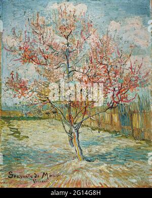 Vincent van Gogh, The Pink Peach Tree 1888 Oil on canvas. Van Gogh ...