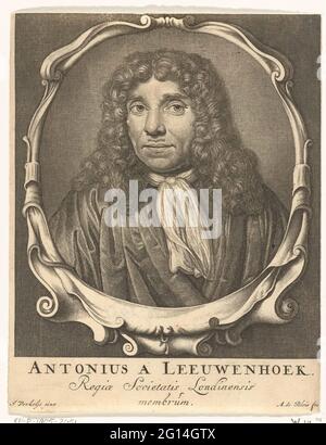 Portrait of Antonie van Leeuwenhoek, bust in oval frame with lobe ...