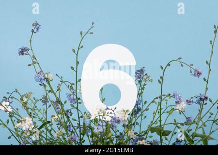 six letter flower numeric number, 6 digit, made from colorful ...