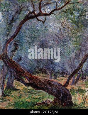 Olive Trees (Study) 1884 by Claude Monet Stock Photo - Alamy