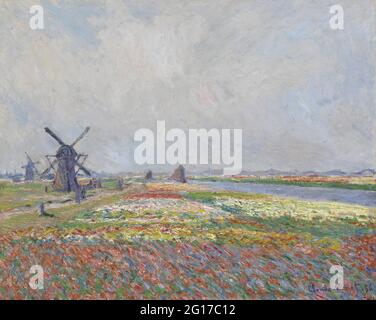 Tulip Fields near the Hague by Claude Monet at the Van Gogh Museum in ...