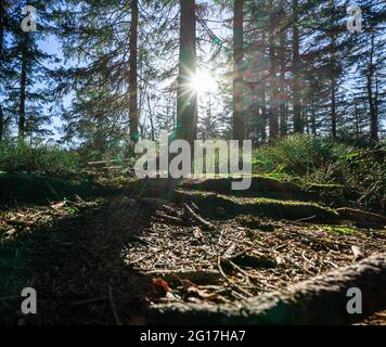 Hiking to the Käsplatte by Sankt Englmar in the bavarian Forests ...