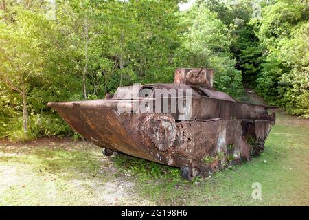Japanese Amphibious Tank II World War Peleliu Island Micronesia Palau ...