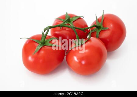 Tomatoes. Four tomatoes on a branch. Whole tomatoes, on white. Full ...