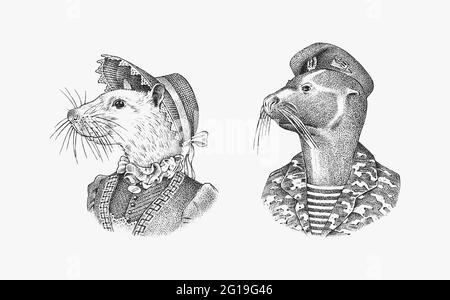 Fur seal man in military uniforms. Marine mammal. Fashion animal ...