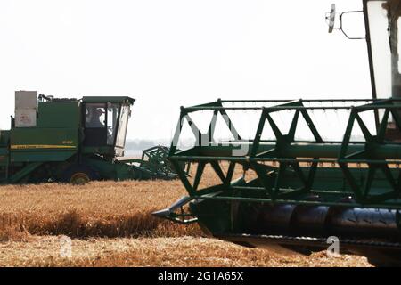 Farmers operate harvesters in a wheat field at Hongqi Seed Farm in ...