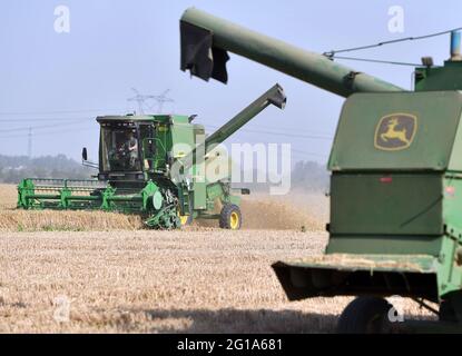 Farmers operate harvesters in a wheat field at Hongqi Seed Farm in ...