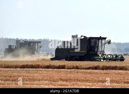 Farmers operate harvesters in a wheat field at Hongqi Seed Farm in ...
