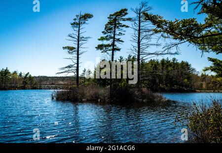 Kearney Lake dam Stock Photo - Alamy