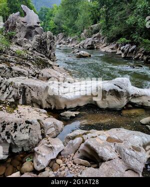 A vertical shot of a river in the woods Stock Photo - Alamy