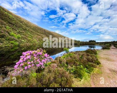Bay Lough in the Knockmealdown Mountains of Tipperary, renowned for ...