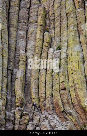 Columnar jointing on Devils Tower in Wyoming Stock Photo - Alamy