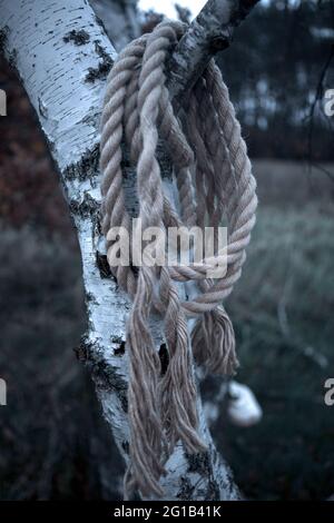 Rope noose hanging outdoors in sandy wilderness on sunny blue sky ...