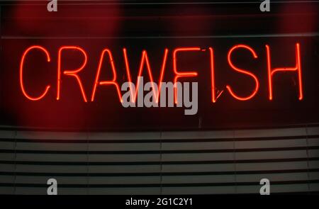 Photograph Composite Neon Seafood Restaurant Signs Catfish Stock Photo ...