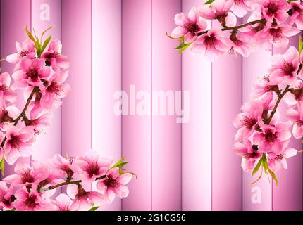 Pink peach blossom frame background Stock Photo - Alamy