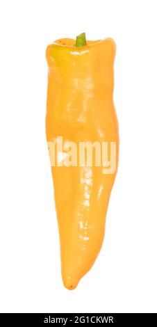 Yellow sweet pointed pepper, isolated on white background Stock Photo ...