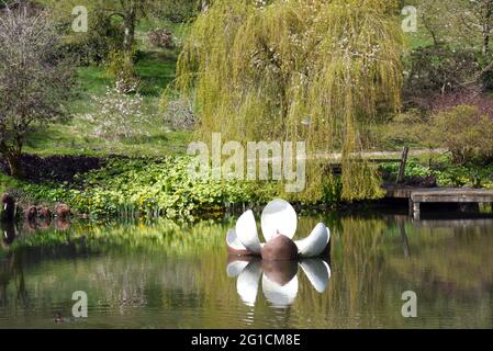 Floating Lily Sculpture Reflected in the Magnolia Lake with Marsh ...