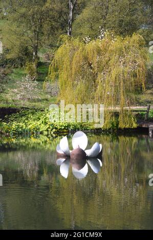 Floating Lily Sculpture Reflected in the Magnolia Lake with Marsh ...
