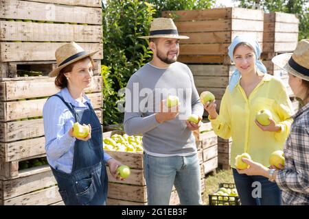 Cheerful team eating apples after harvesting in the garden Stock Photo ...