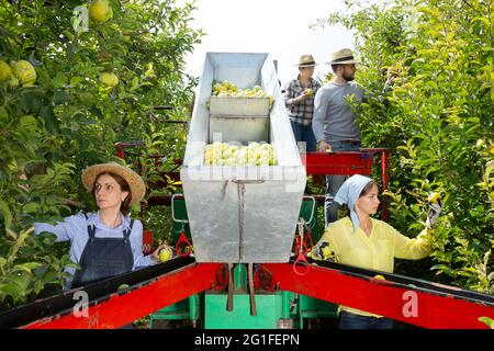 Farmers working on harvesting platform Stock Photo - Alamy
