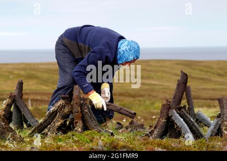 Peat digger, old woman, headscarf, peat cutting, peat bog, manual peat ...