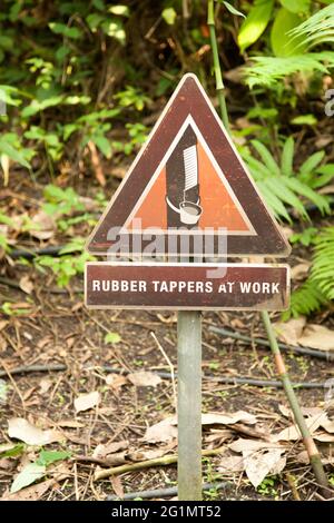 Rubber Tappers at Work sign in jungle, The Eden Project Rainforest ...