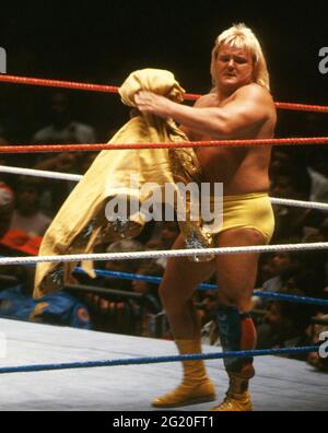 Greg Valentine 1991 Photo By John Barrett/PHOTOlink Stock Photo - Alamy
