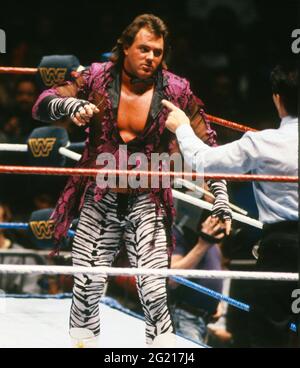 1989 Brutus Beefcake Photo by John Barrett/PHOTOlink Stock Photo - Alamy
