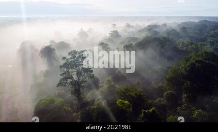 BREAKING BOUNDARIES: THE SCIENCE OF OUR PLANET, 2021. © Netflix ...