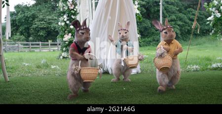 PETER RABBIT 2: THE RUNAWAY 2021 Sony Pictures Releasing film Stock ...
