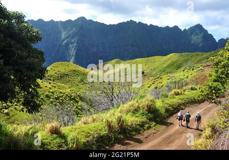 FRENCH POLYNESIA, MARQUESAS ISLANDS. ISLAND OF FATU IVA. OMOA, THE MAIN ...