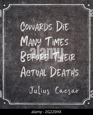 Cowards die many times before their actual deaths - ancient Roman ...