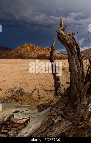Guest farm Omandumba: Rain clouds over Erongo Mountains, rainy season ...