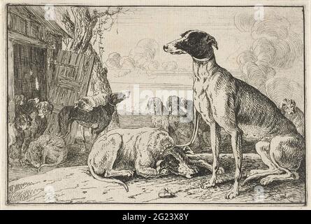 Dog kennel; Animals; Zooographiam Stock Photo - Alamy