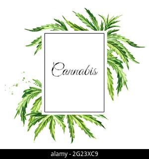 Watercolor cannabis frame. Hand drawn wild hemp plant border for ...