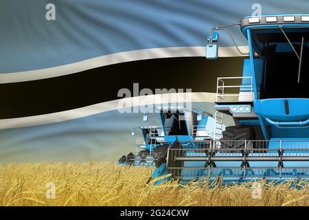 three blue modern combine harvesters with Thailand flag on rye field ...