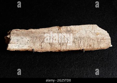 Prehistoric objects, sculptures and engravings from France Stock Photo ...