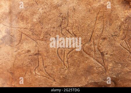 Prehistoric objects, sculptures and engravings from France Stock Photo ...